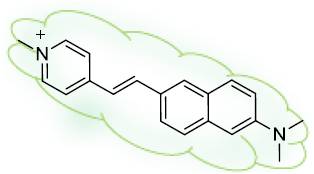 快响应探针 | 多荧生物 - 最全的荧光方案