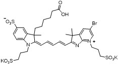 AF系列 (Alexa Fluor) | 多荧生物 - 最全的荧光方案