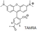 罗丹明系列 | 多荧生物 - 最全的荧光方案