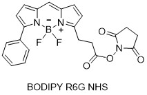 BODIPY R6G NHS活化酯 / BODIPY R6G NHS / 335193-70-9 / 1443457-59-7 ...