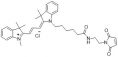 Cy3.5-马来酰亚胺 Cyanine 3.5 maleimide | 多荧生物_Duofluor