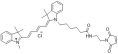 磺化Cy3-马来酰亚胺 / Sulfo-Cy3 maleimide / 1656990-68-9 | 多荧生物_Duofluor